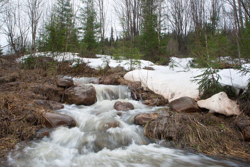 Melt Water Runoff in Spring Forest Stock Image - Image of natural ...