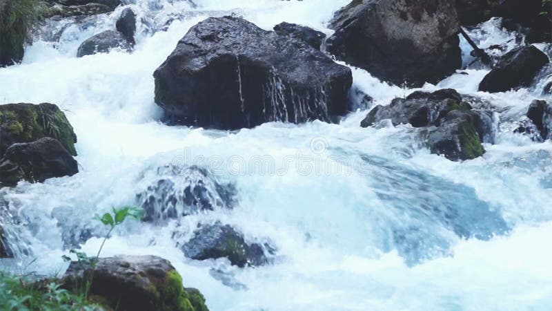 Fresh Cold Mountain River with Sound of Nature Stock Footage - Video of ...