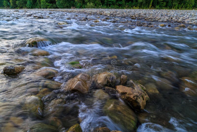 Rapid Flow of a Mountain River, Clear Water Stock Photo - Image of ...