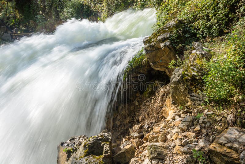 The Rapid Flow of Water Against Rocks and Trees. Stock Image - Image of ...