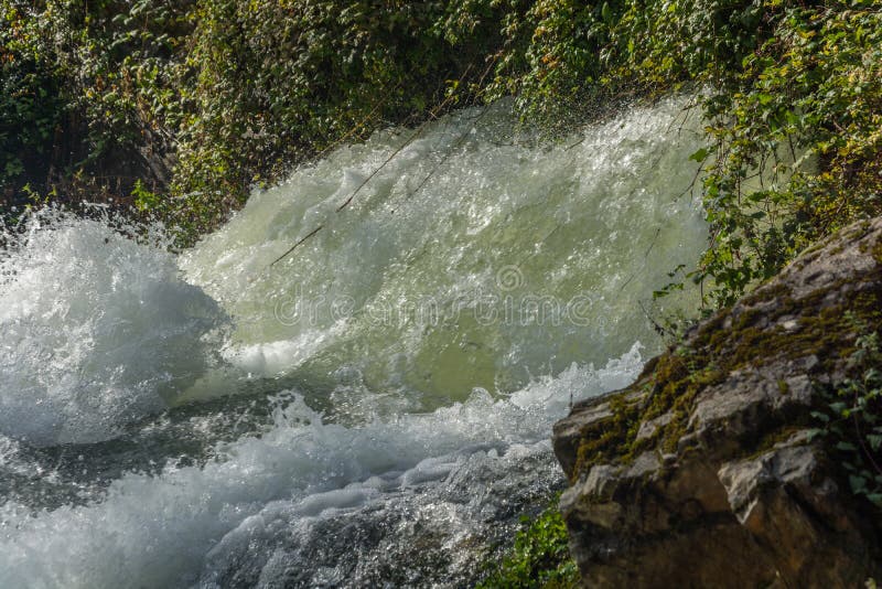 The Rapid Flow of Water Against Rocks and Trees. Stock Image - Image of ...