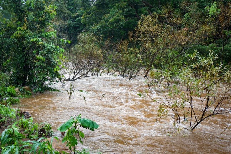 Rapid flow of water stock photo. Image of falls, potomac - 98222218