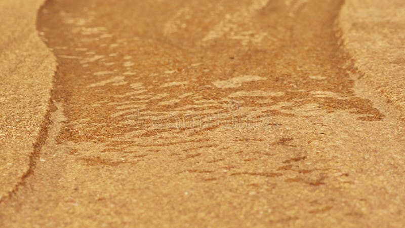 Rapid Flowing Water Stream in Fine Sand Bed Carrying Sand Along ...