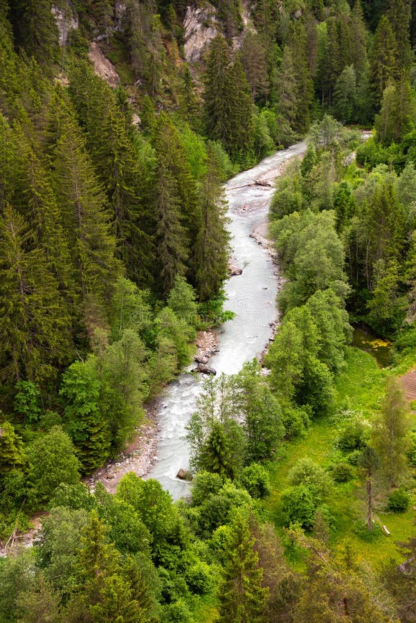 Rapid Mountain River in Green Forest Seen from Above Stock Image ...