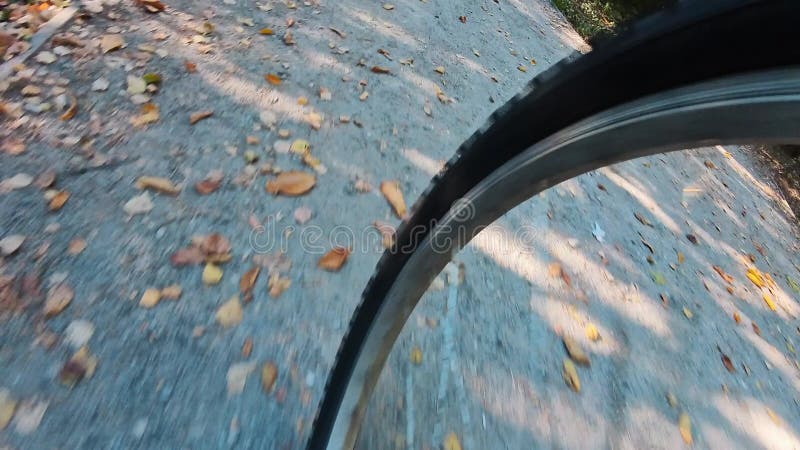 The Rapid Movement of the Bicycle Wheel Along the Autumn Path of the ...