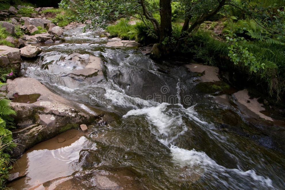 Rapid stream stock photo. Image of fast, outdoor, river - 6119832