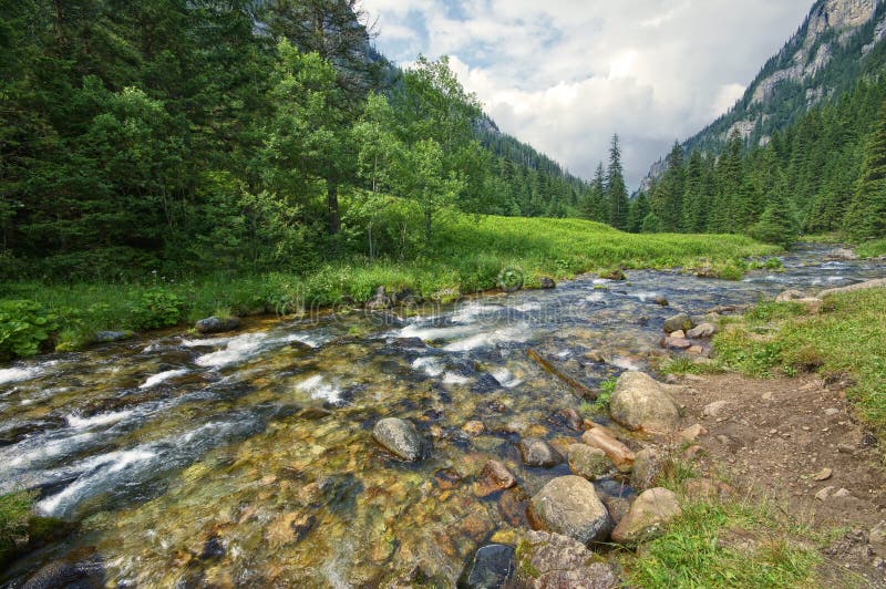 Rapid stream stock image. Image of green, landscape, current - 62832253