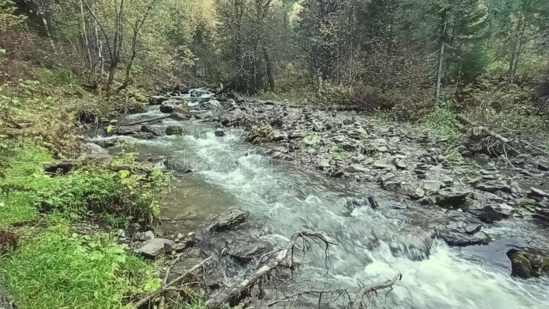A Rapid Stream of a Stream with a Narrow Rocky Bed and Bottom Flows ...