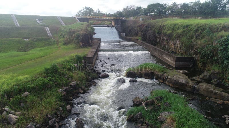 Rapid Water Flowing in a Hillside Stream with Lush Vegetation Stock ...