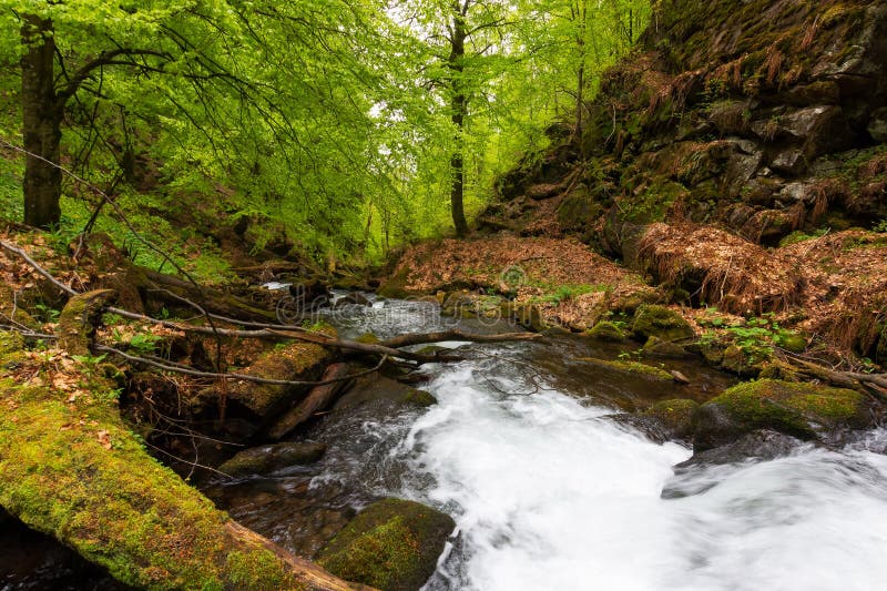 Rapid Water Stream among Stones and Boulders Stock Image - Image of ...