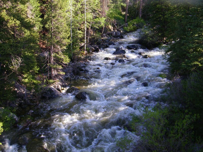 Rapidly flowing stream stock image. Image of creek, water - 53553669
