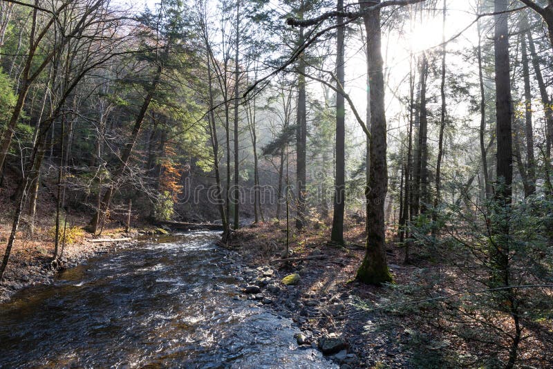 Rapidly Flowing Stream through a Fall Winter Landscape in Dappled ...
