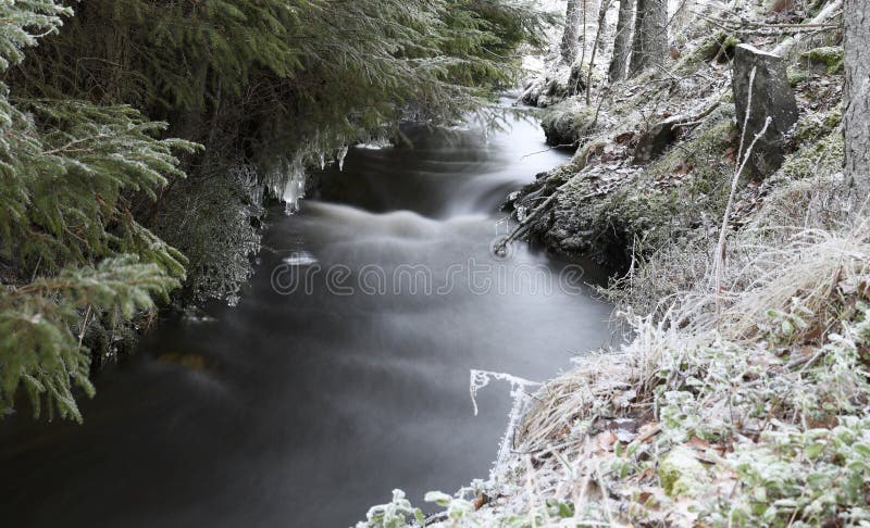 Rapidly Flowing Water in a Stream in the Nature in Winter Stock Photo ...