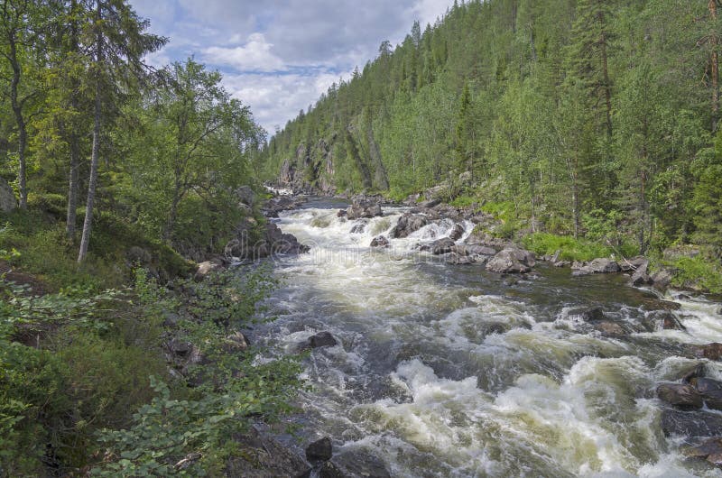 Rapids. stock image. Image of river, tree, rapids, kutsayoki - 38440913