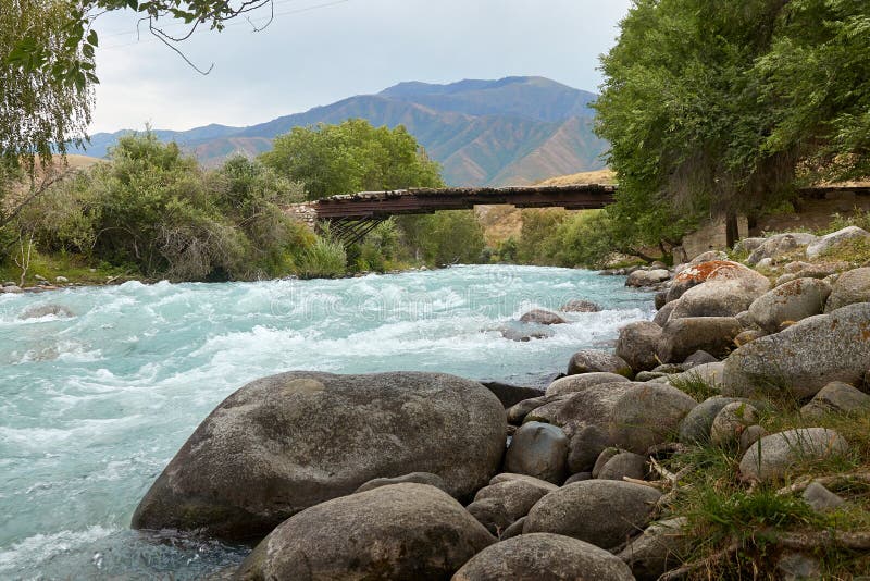 Rapids of a Mountain River Flowing among Trees Stock Image - Image of ...