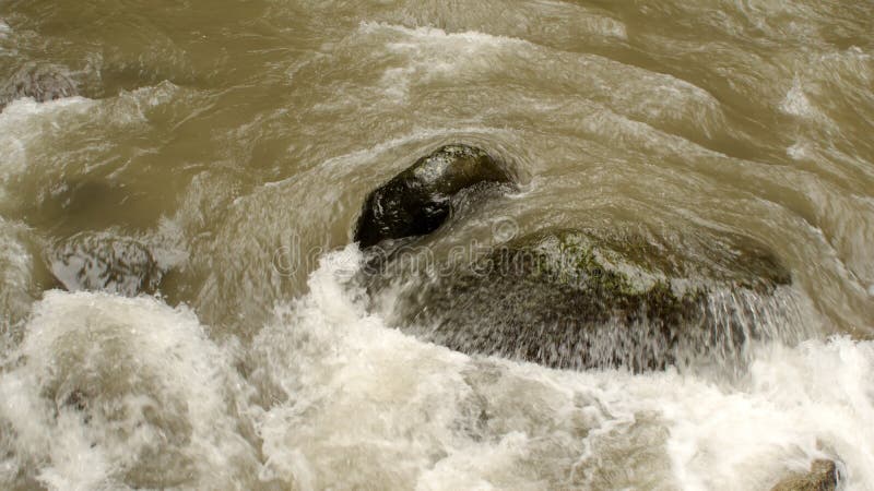 Rapids in a river stock photo. Image of america, mindo - 195661486