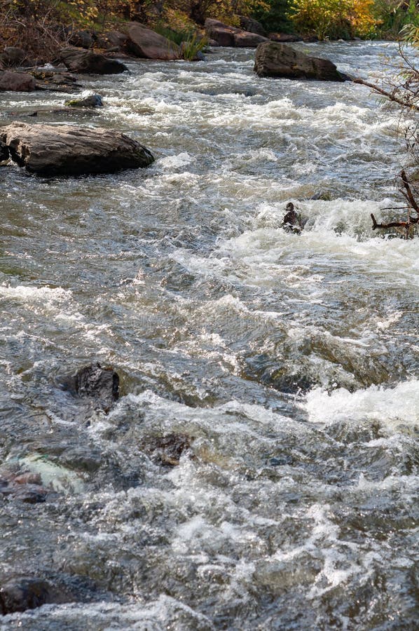 The Rapids on a Small River Near the Ukrainian Village Stock Photo ...