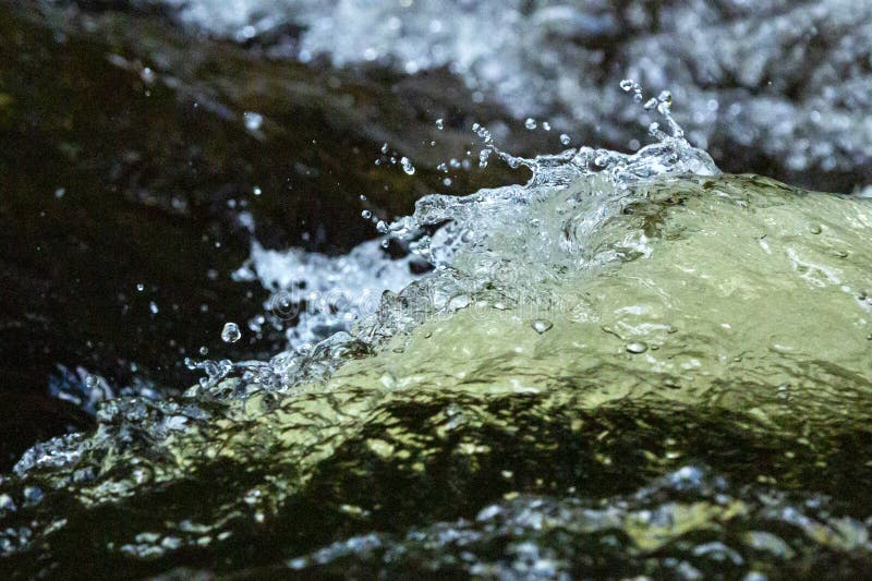 4,392 High Shutter Speed Crow Stock Photos - Free & Royalty-Free Stock ...