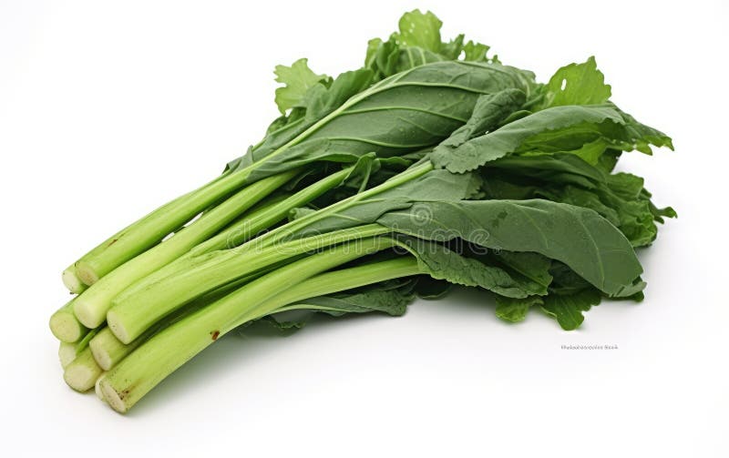 Rapini Isolation on White Background Stock Image - Image of vivid ...