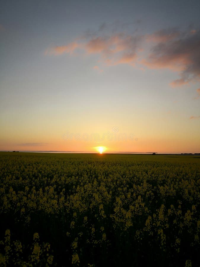 Rapper in the sun stock image. Image of sunset, rapper - 149400367