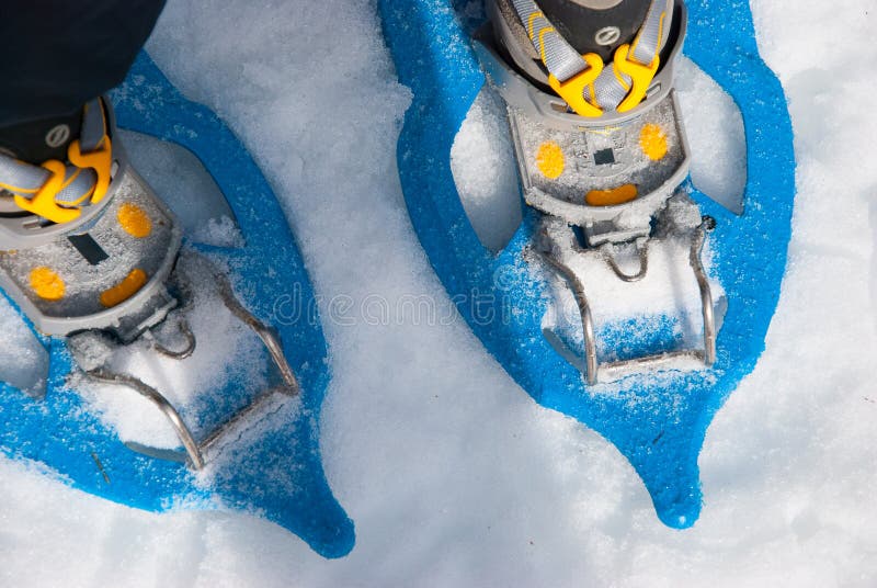 Raquettes illustration de vecteur. Illustration du hiver - 17158747