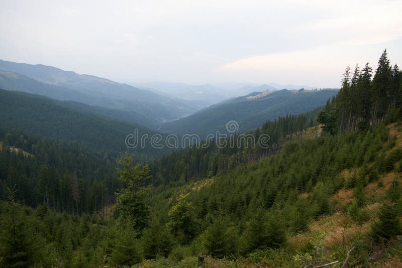 Rarau Mountains in the Carpathians Stock Photo - Image of nature ...