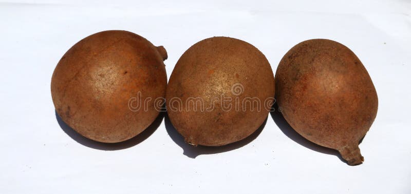 Rare Fruit from Southeast Asia Stock Image - Image of heritage, apple ...