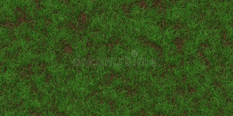 Rare Grass Texture. Field Background. Park Lawn Pattern Stock Photo ...