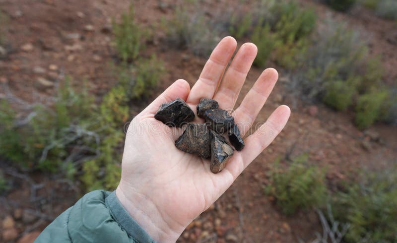 Rare Obsidian Stones in a Hand Close Up Stock Photo - Image of organ ...