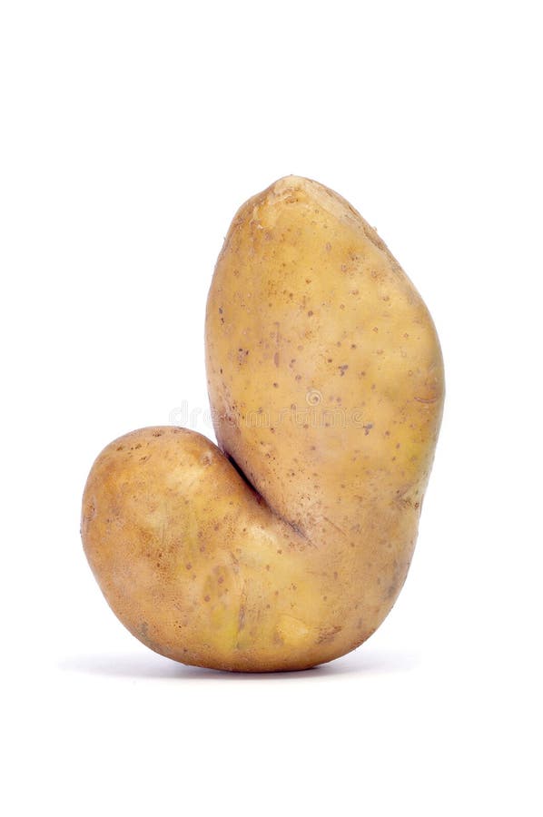 Couch Potato stock photo. Image of vegetable, leather - 1560194