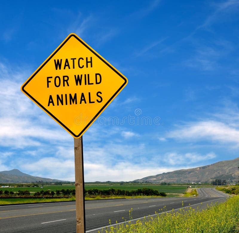 Rare Road Sign stock image. Image of slow, corridor, animals - 14402809