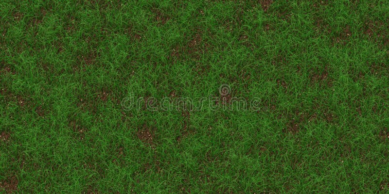 Rare Textured Meadow Backdrop. Grass Texture. Field Background Stock ...