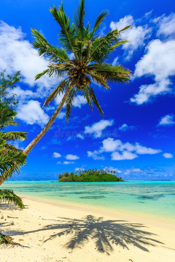 Rarotonga, îles Cook photo stock. Image of horizontal - 63923732