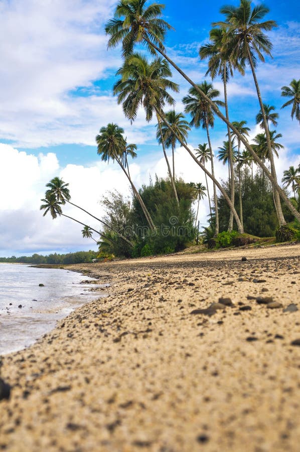 Rarotonga, Cook Islands Beach Stock Image - Image of moorea, palm: 30495991