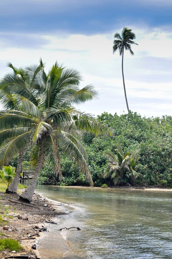Rarotonga, Cook Islands Beach Stock Image - Image of chair, relax: 30495725