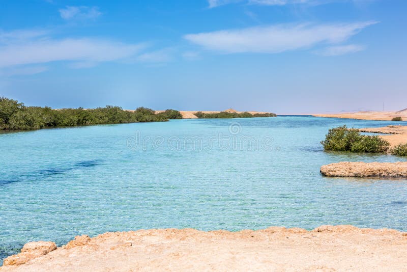 Ras Mohamed National Park in Egypt. Stock Photo - Image of mangrove ...