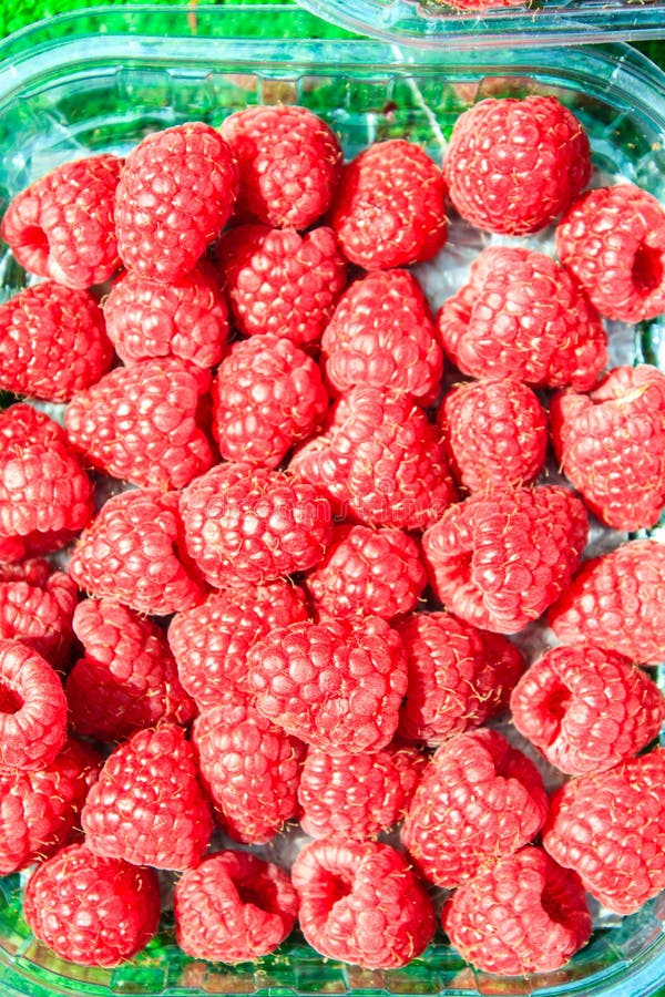 Rasberry background stock photo. Image of organic, group - 19412410