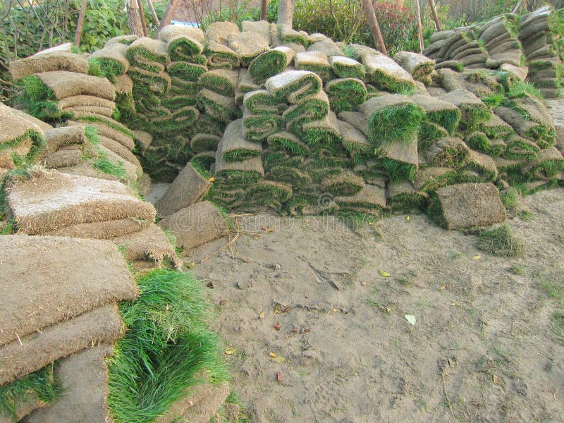 Rasen stockbild. Bild von rasen, material, aufbau, gespielt - 43264399