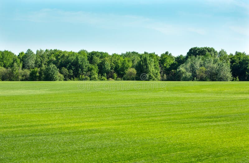 Landschaft Der Rasenfläche Im Grünen Gebrauch Des Allgemeinen Parks Als ...