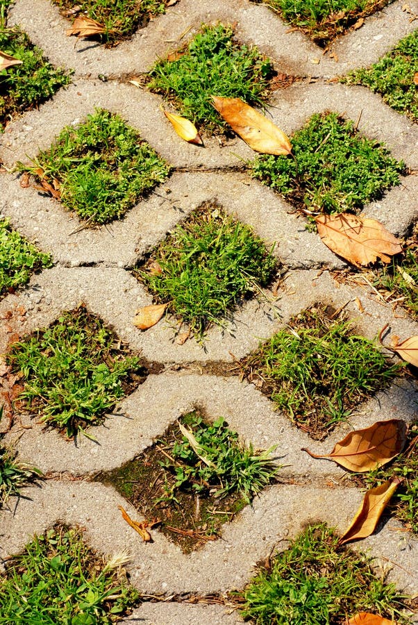 Rasenpflasterstein stockbild. Bild von porosität, grün - 5743381