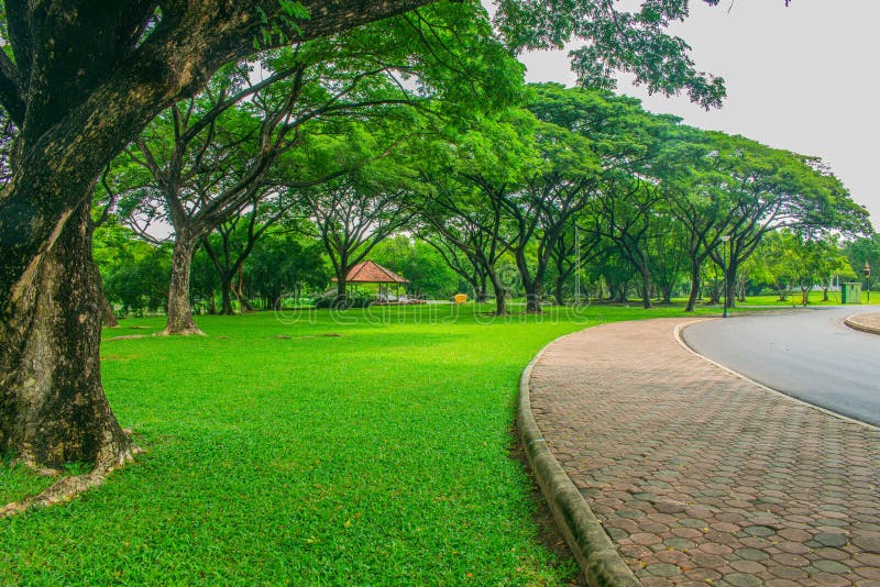 Rasen und Gehweg stockbild. Bild von ziegelstein, architektur - 45341873