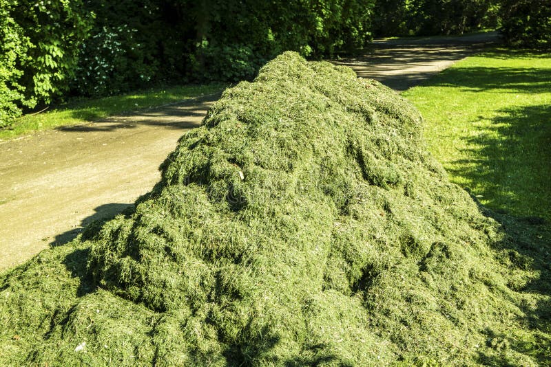 Traktor auf der Wiese stockfoto. Bild von himmel, traktor - 21608472