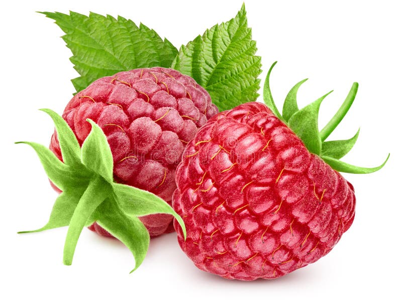 Raspberri Berry with Leaves Isolated on White Background Stock Photo ...