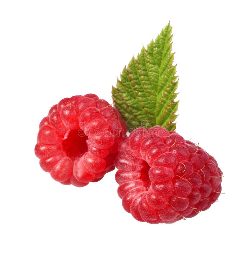 Red raspberry stock image. Image of white, raspberry, raspberries - 1860971