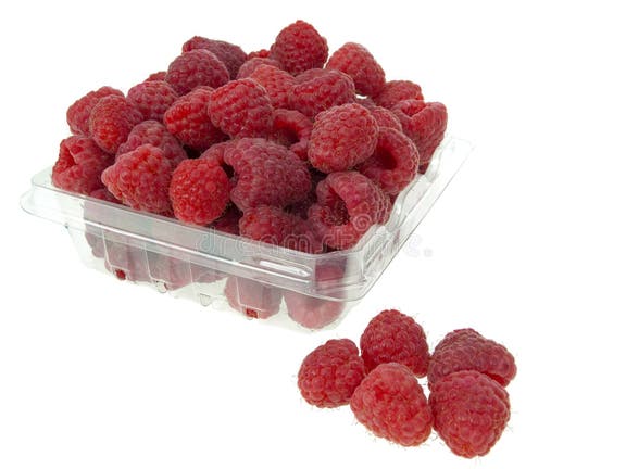 Raspberries stock image. Image of package, raspberries - 11300373