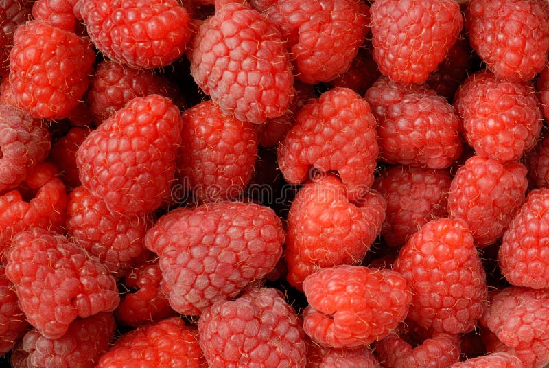 Mixed Nuts stock photo. Image of almond, natural, cocktail - 547808