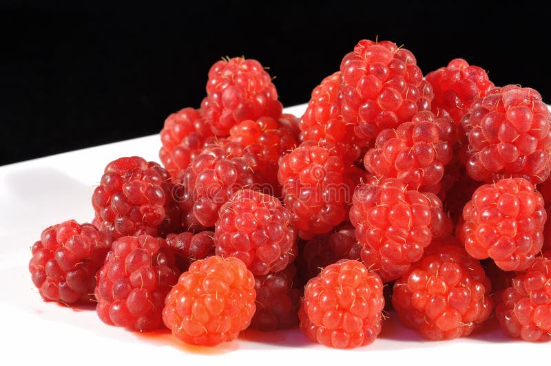 Red Raspberries stock image. Image of food, progeny, closeups - 18713