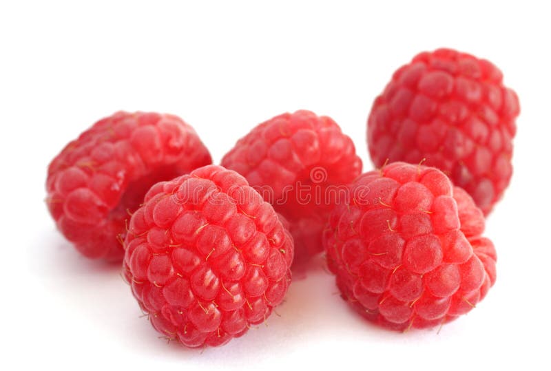 Raspberry stock image. Image of raspberries, fruity, diet - 2730749