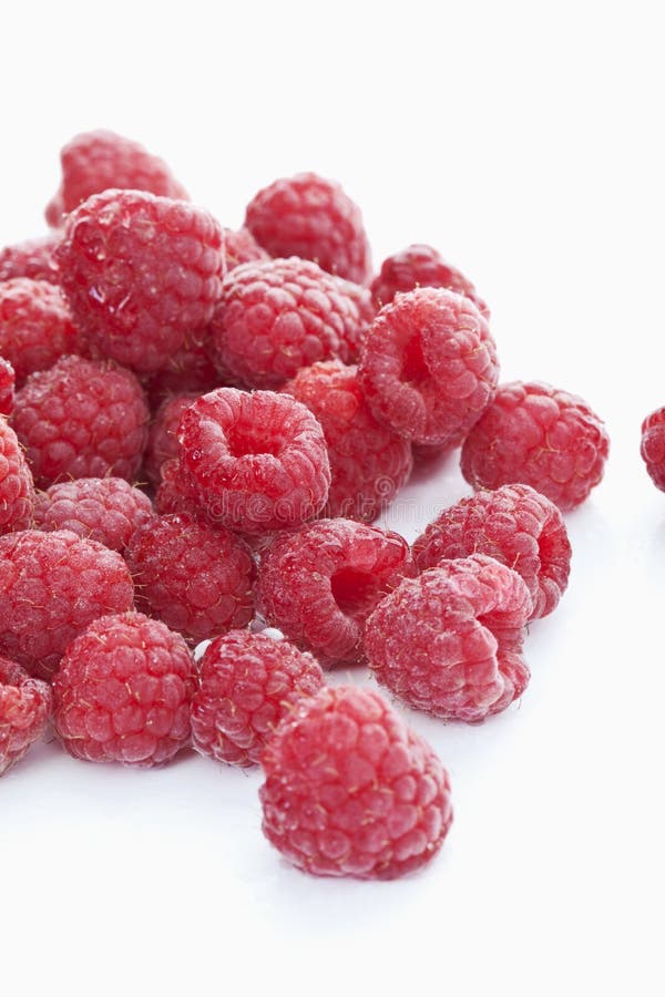 Fresh Raspberries in a Food Processor Stock Photo - Image of dried ...