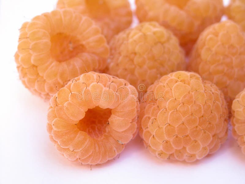 Raspberries stock image. Image of juicy, isolated, foods - 220063